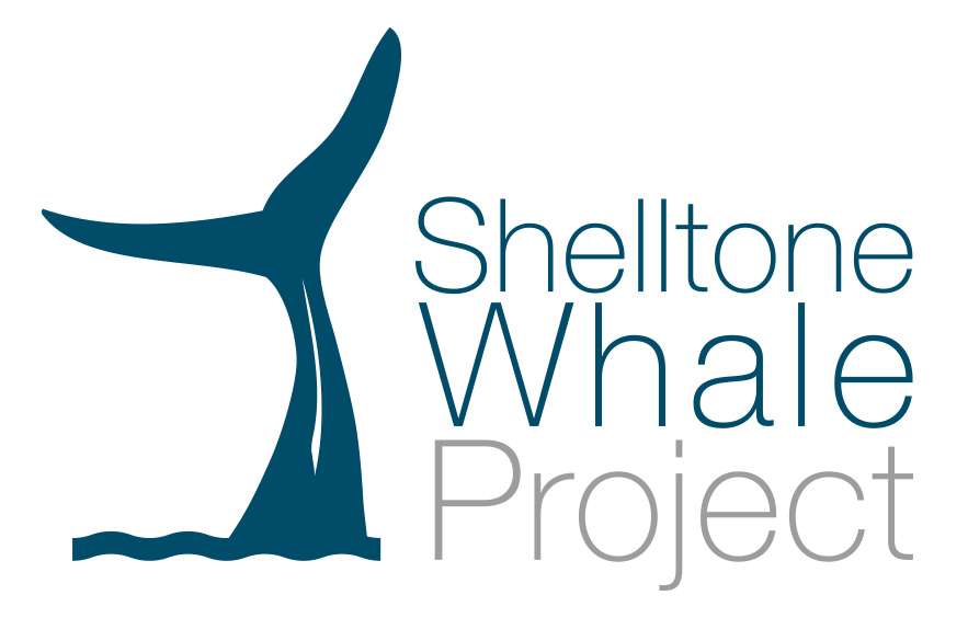 Shelltone Whale Project - Watching and protecting cetaceans