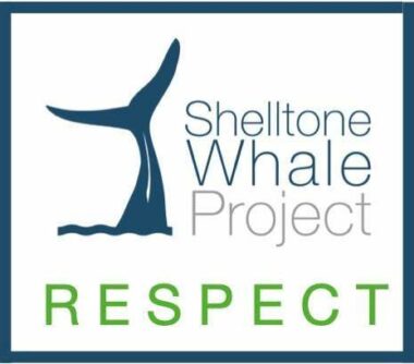 OUR MISSION - Shelltone Whale Project