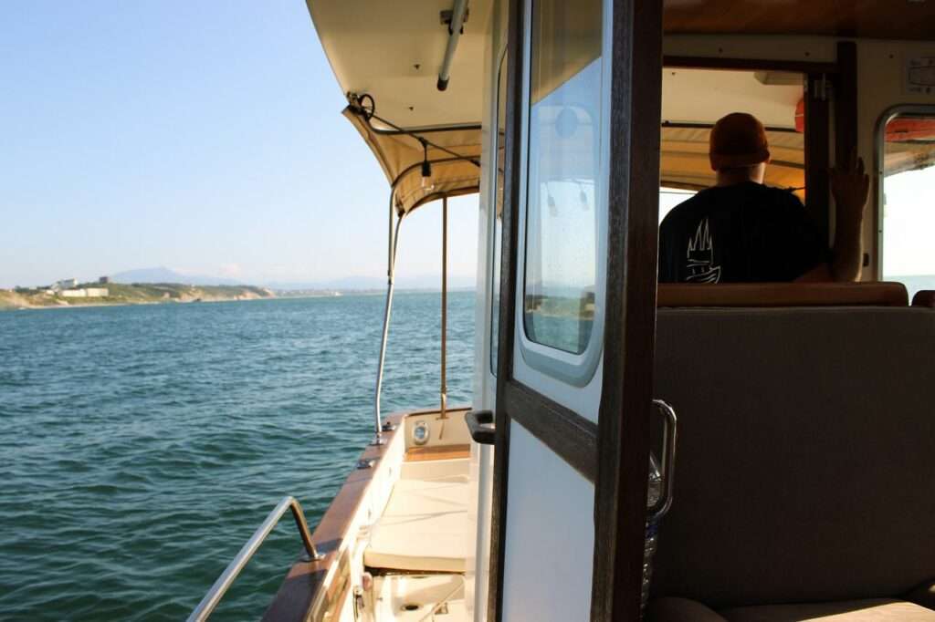 Whale and Dolphin Watching Bayonne Basque Country