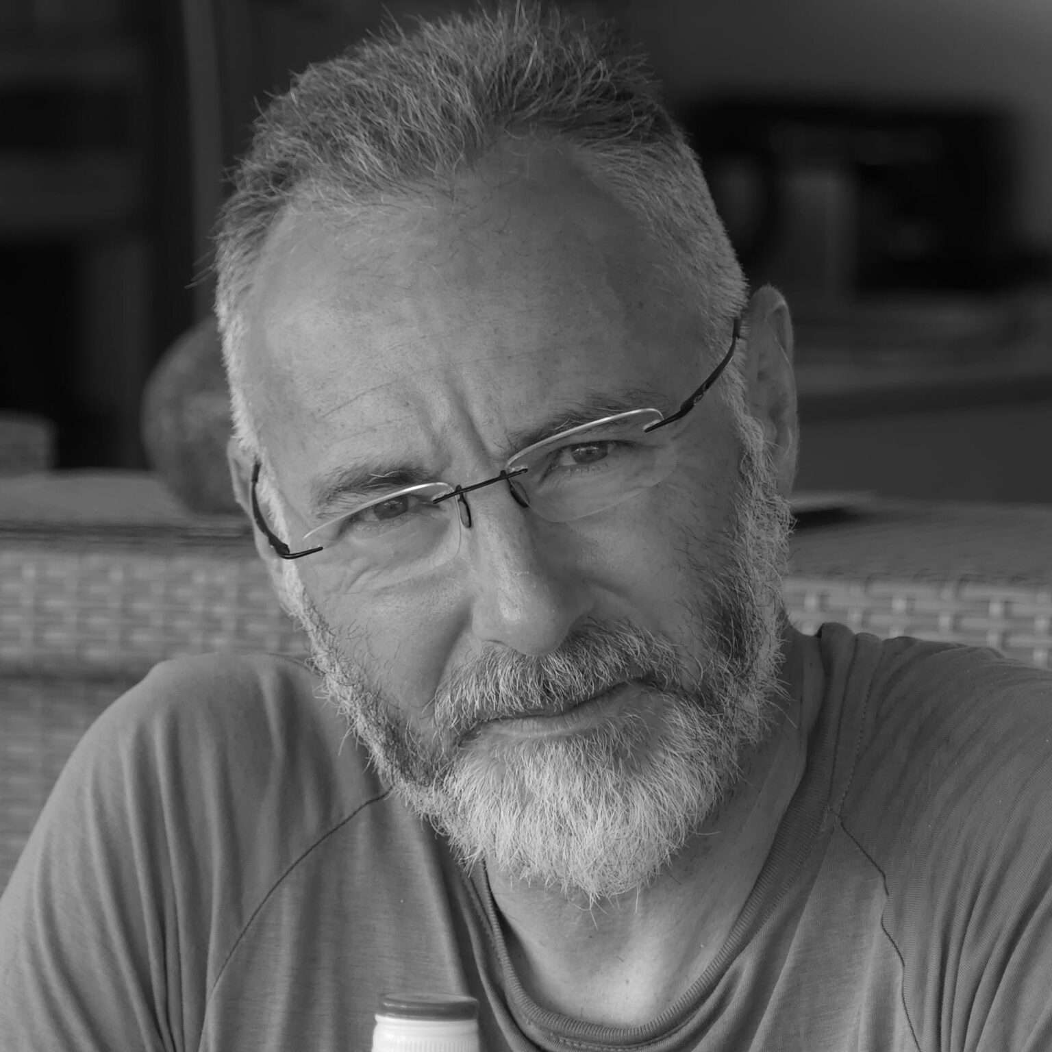 Shelltone Whale Project See our missions and research