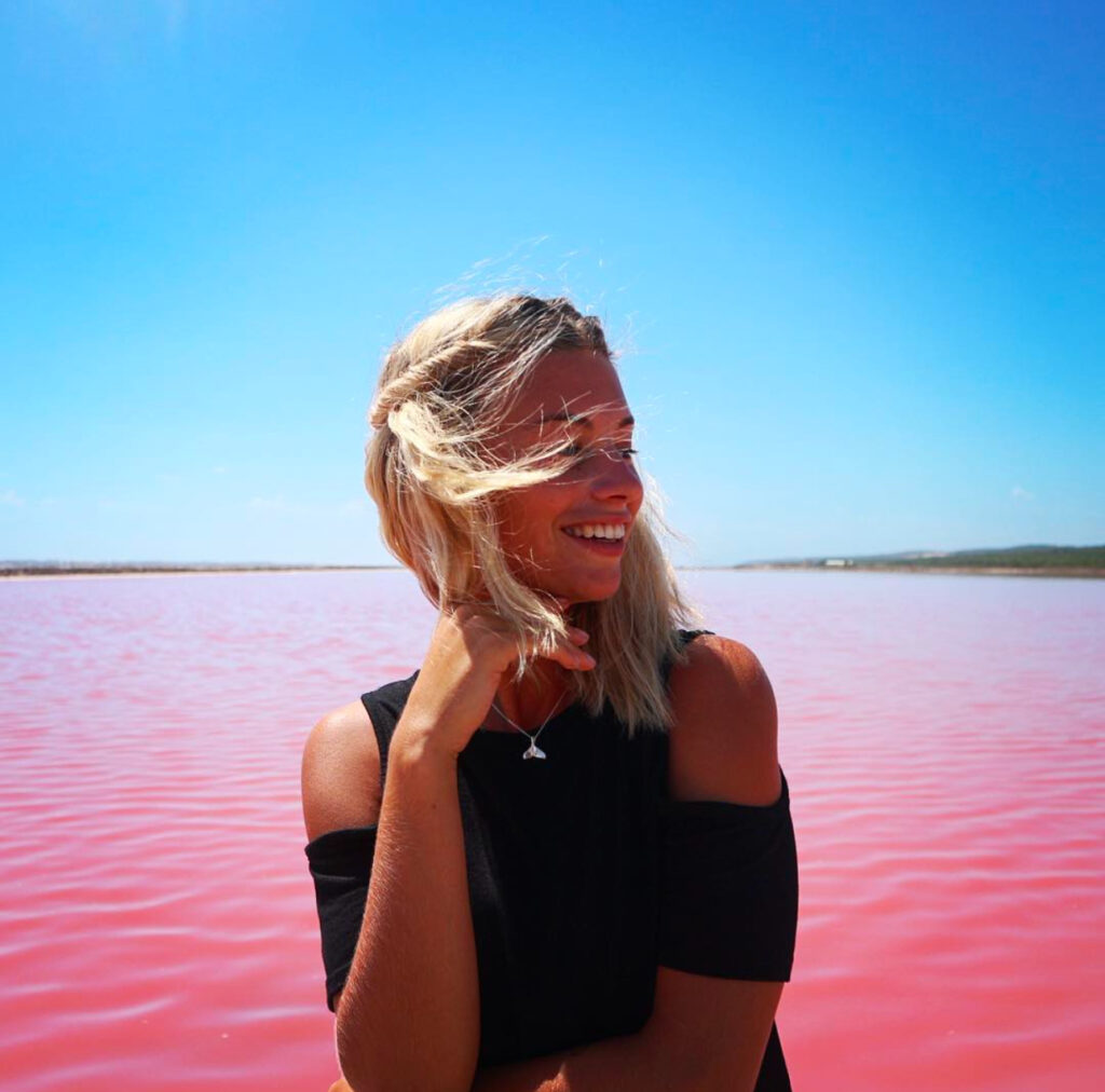 Shelltone Whale Project See our missions and research