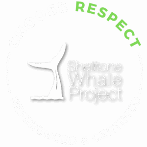 Whale Watching at Valdes Peninsula (Argentina) | Shelltone Whale Project